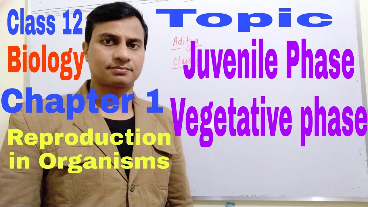 Juvenile Phase and Vegetative Phase - YouTube