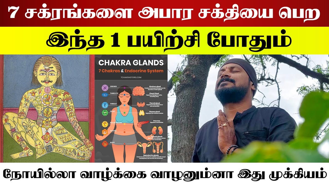 7 Chakras Tamil | ஏழு சக்கரங்களின் அற்புத சக்தி பெற | How To Activate 7 ...