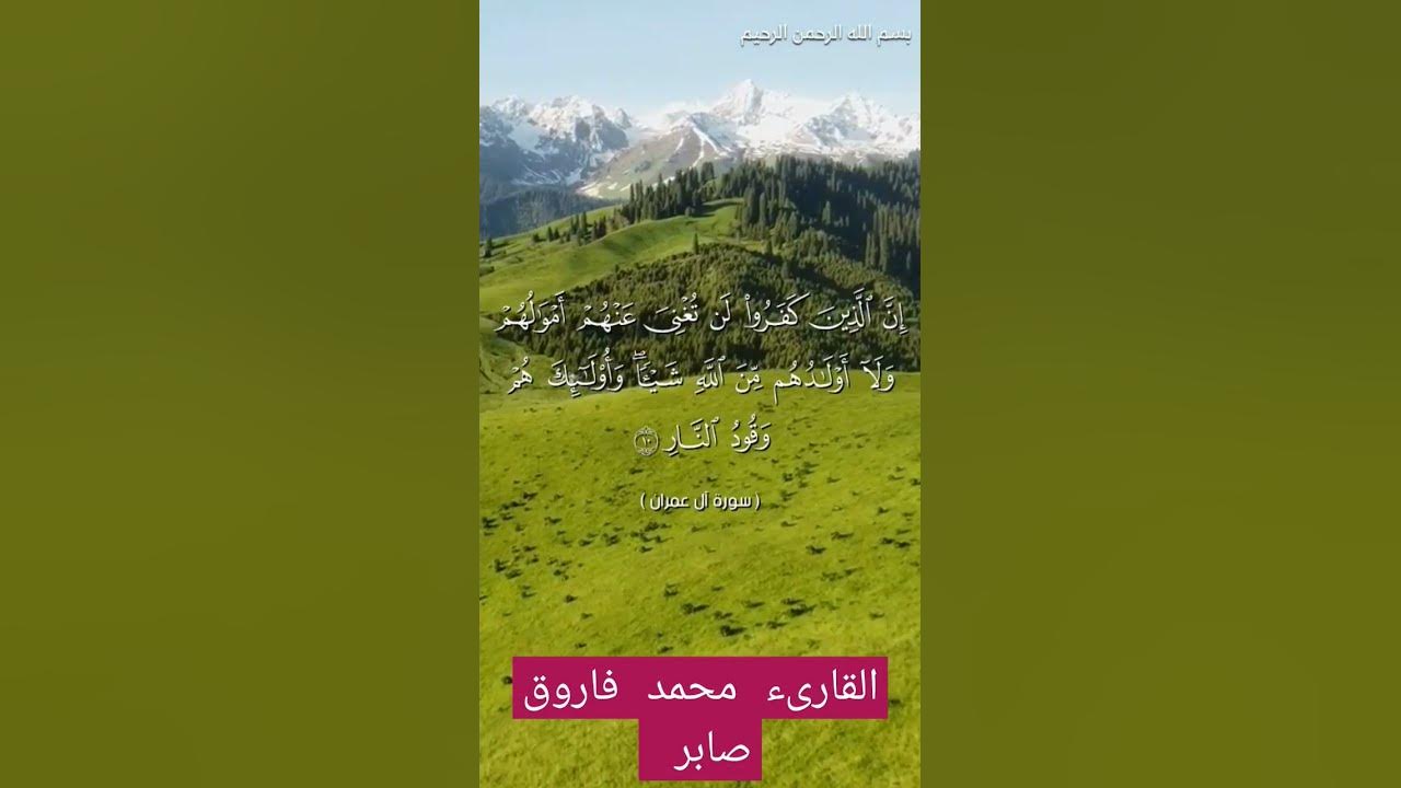 إِنَّ الَّذِينَ كَفَرُوا لَن تُغْنِيَ عَنْهُمْ أَمْوَالُهُمْ وَلَا