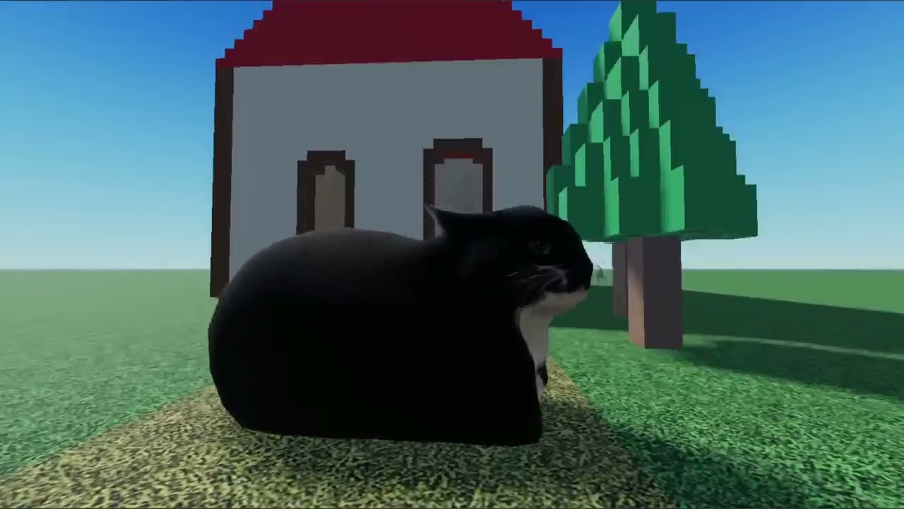 Maxwell the cat dancing. (v3) - YouTube
