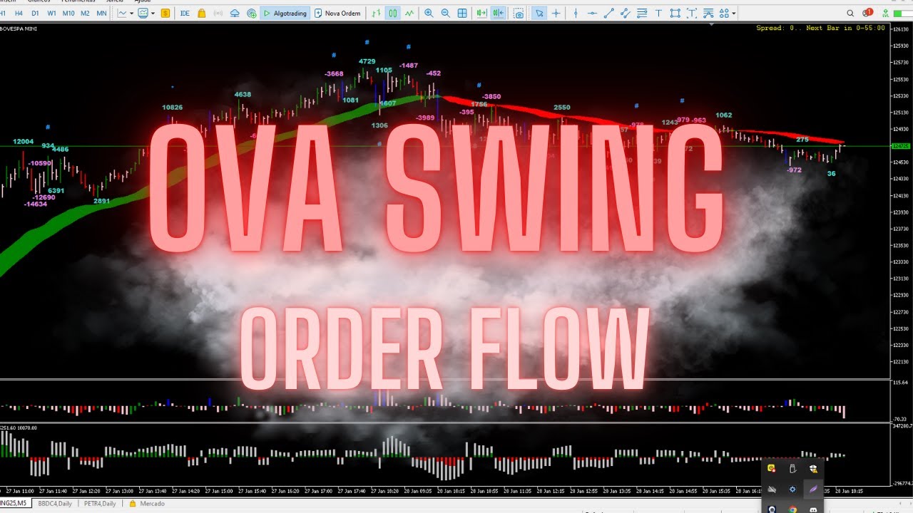 ORDER FLOW OVA SWING MT5 NINJA TRADER - YouTube