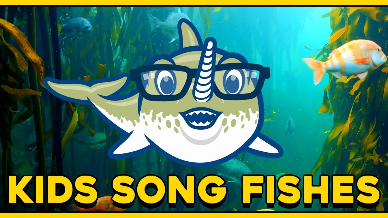 Educational Kids Song | Baby Shark - Fishes | Mimi Song - YouTube