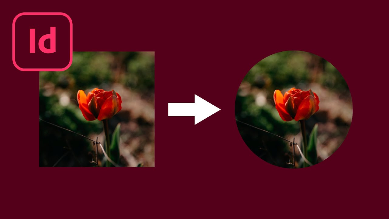 How To Turn An Image Into A Circle In Adobe InDesign YouTube How To Turn An Image Into A Circle In Adobe InDesign YouTube