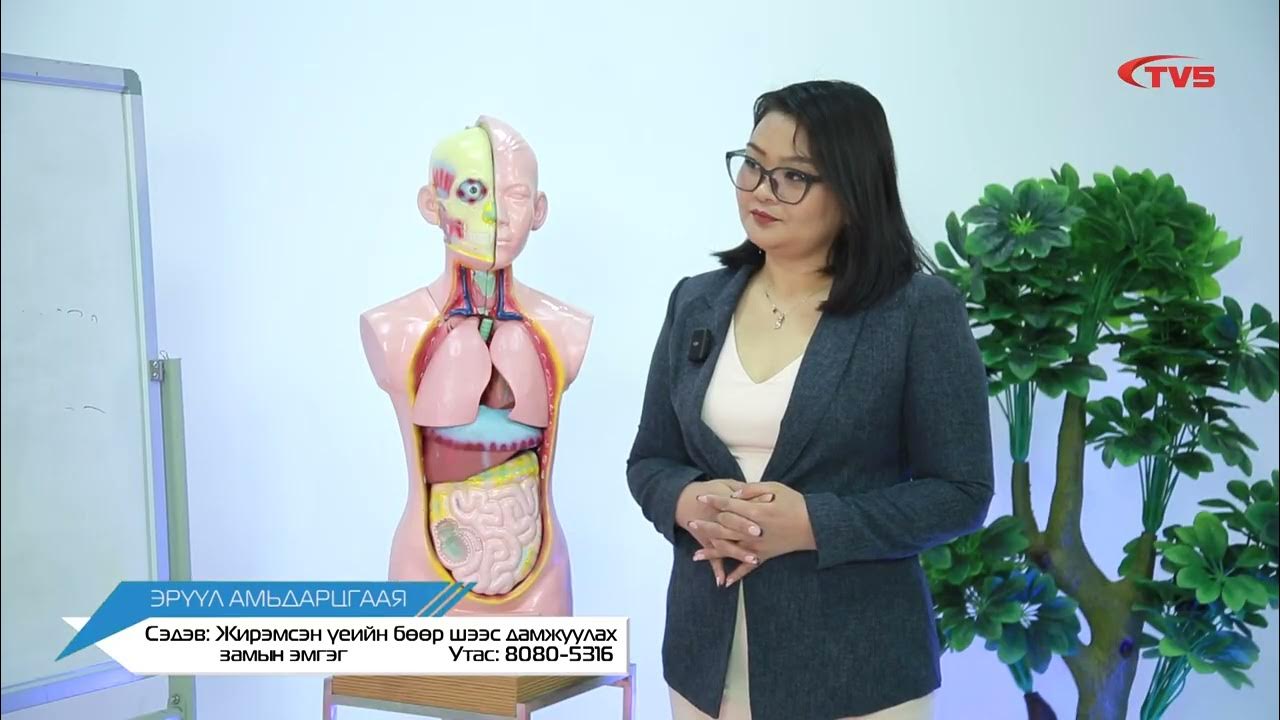 Эрүүл Амьдарцгаая нэвтрүүлэг Сэдэв Жирэмсэн үеийн бөөр шээс дамжуулах замын эмгэг Youtube