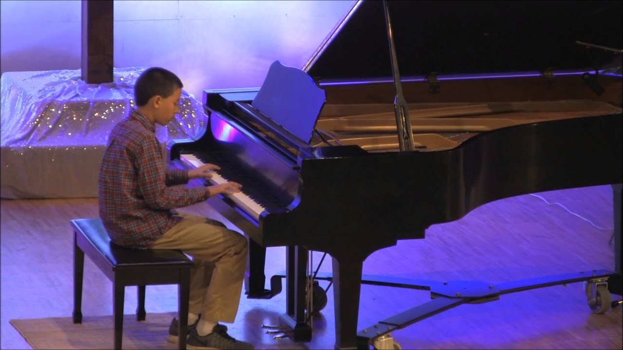 Roland performs Pine Cone Rag by Martha Mier - YouTube