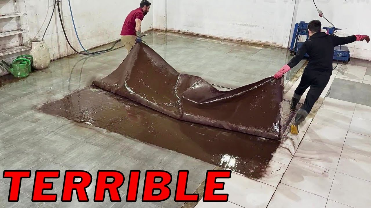 Extreme Clean: Dirty Carpet Gets Brand New Again! - YouTube