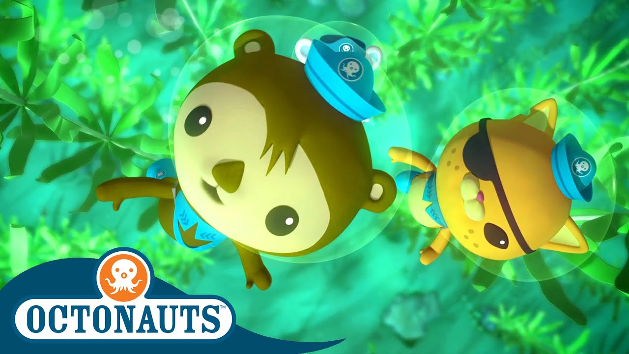 Octonauts - Giant Kelp Forest and The Narwhal | Cartoons for Kids ...