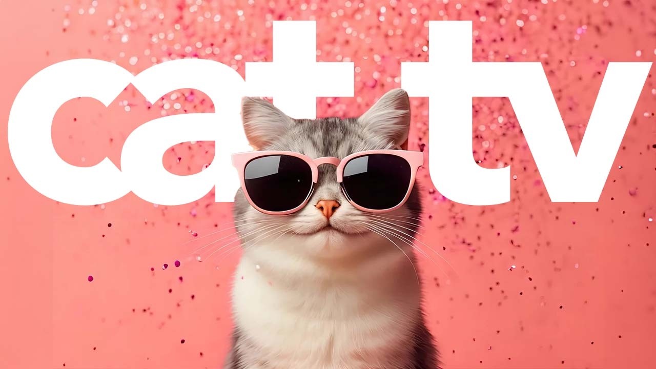 Cat TV 🐈 | Outdoor Entertainment Experience for Cats to Watch | Birds ...