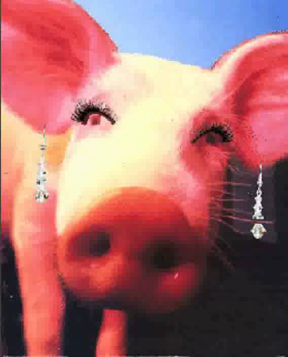 La Puerca - Tribu 7 - YouTube