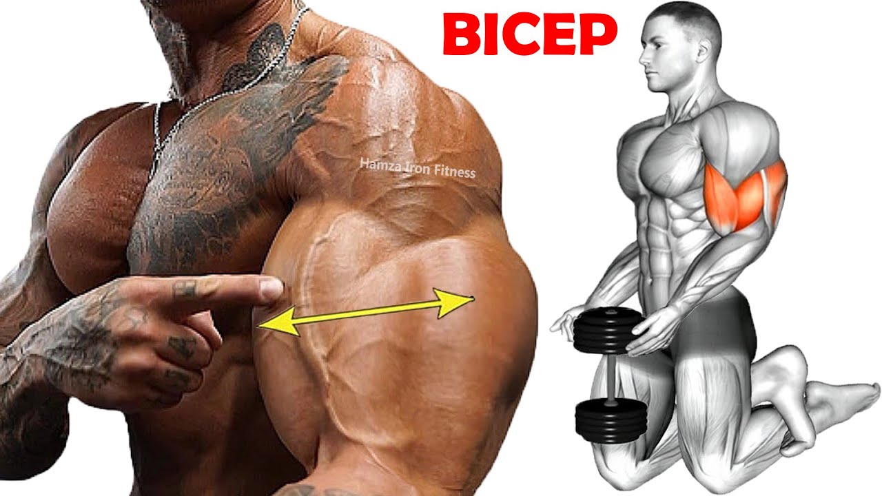 6 Best Bicep Exercises You Should Be Doing - YouTube