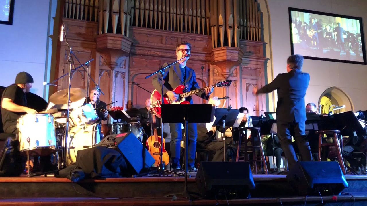 Feather, Fur and Fin - YouTube