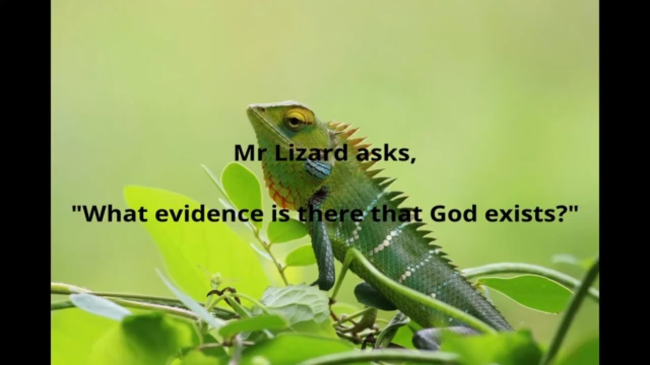 Mr. Lizard asks, "What is the evidence God exists?" - YouTube