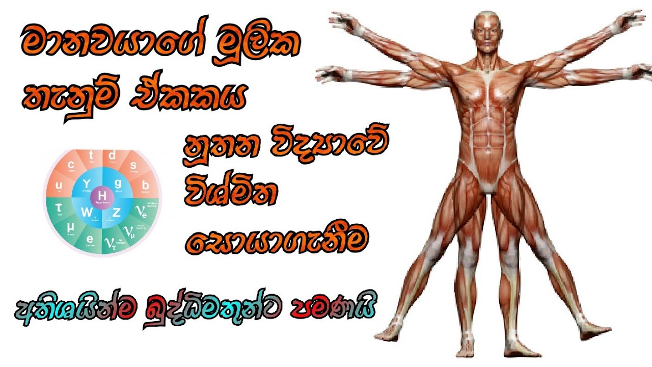 Exploring the Marvels of Particle Physics: The Epic Journey into the ...