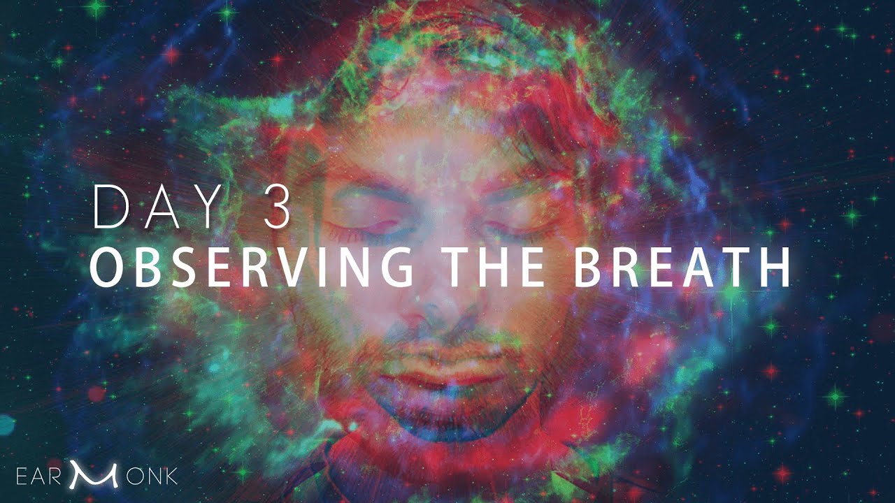 Day 3 - How to Observe the Breath - Meditation for Beginners & Masters ...