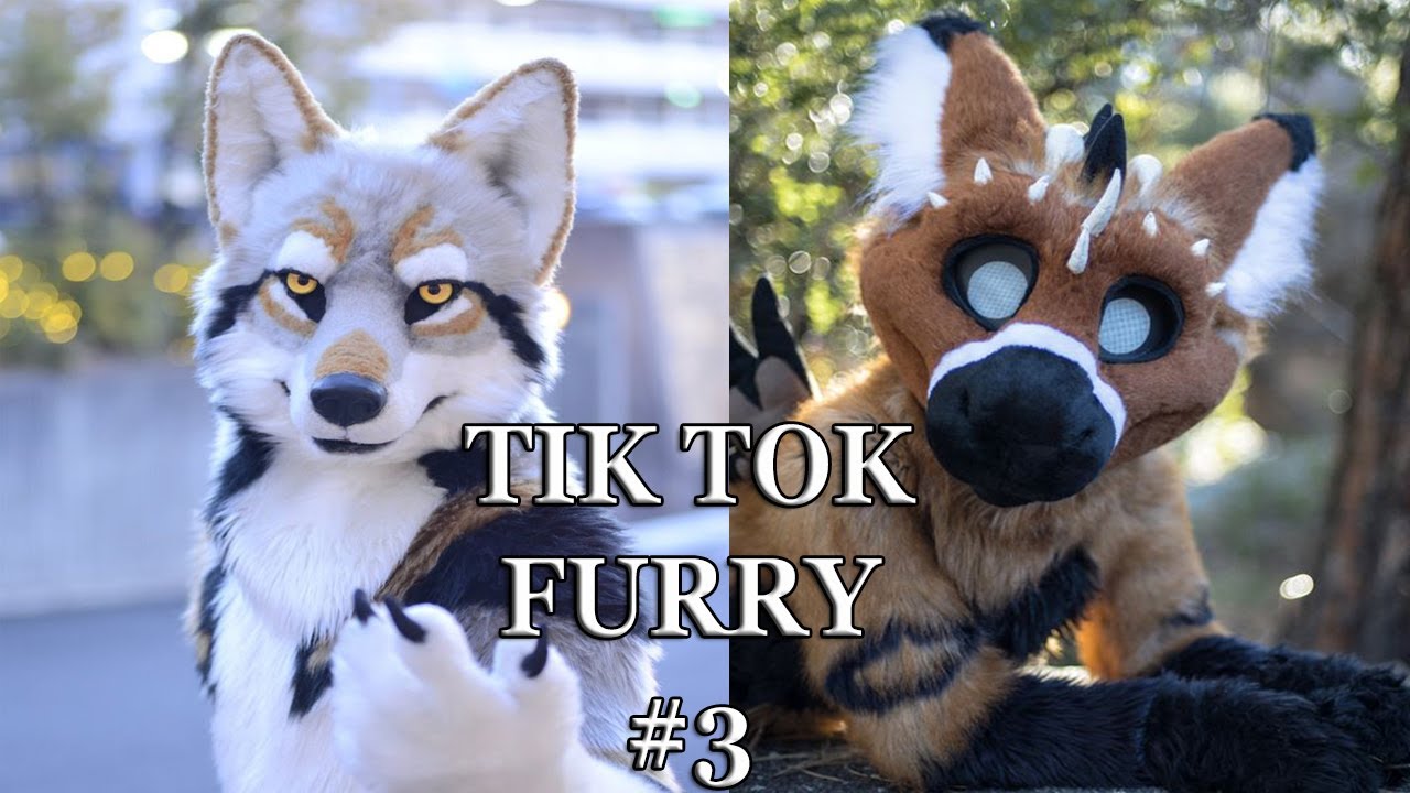 FURRY TIK TOK #3 - YouTube