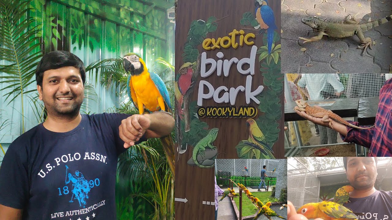 Bird park Kookyland | Mettupalayam | Coimbatore | Ooty Main Road - YouTube