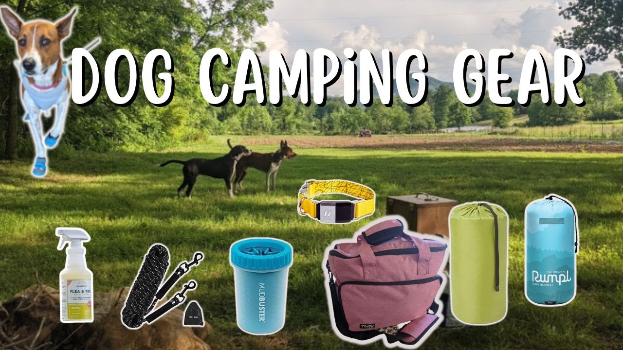 Top 10 Gear Items To Pack For Your Dog When Camping Learn The ...