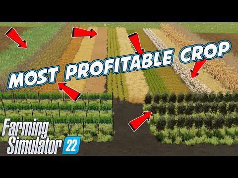 FS22 Most Profitable Crop | Farming Simulator 22 - YouTube