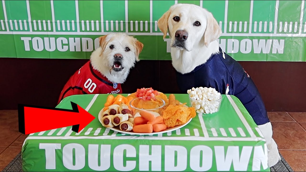 My Dogs' Favorite Football Foods! - YouTube