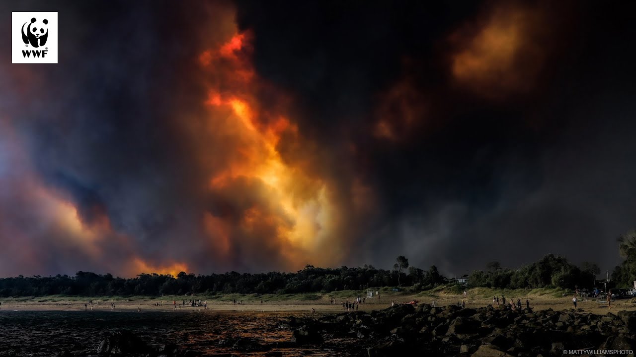Terrifying Timelapse of Australian Bushfire | WWF-Australia - YouTube