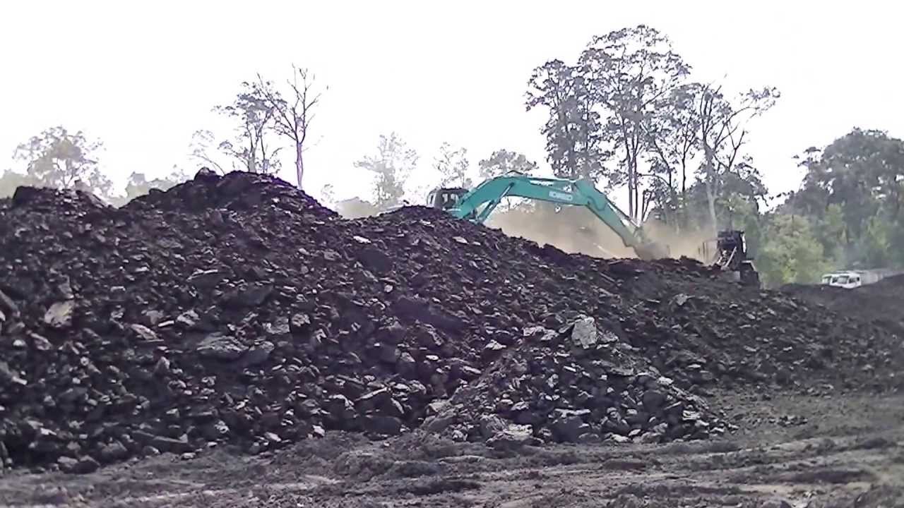 COAL Origin East Kalimantan - YouTube