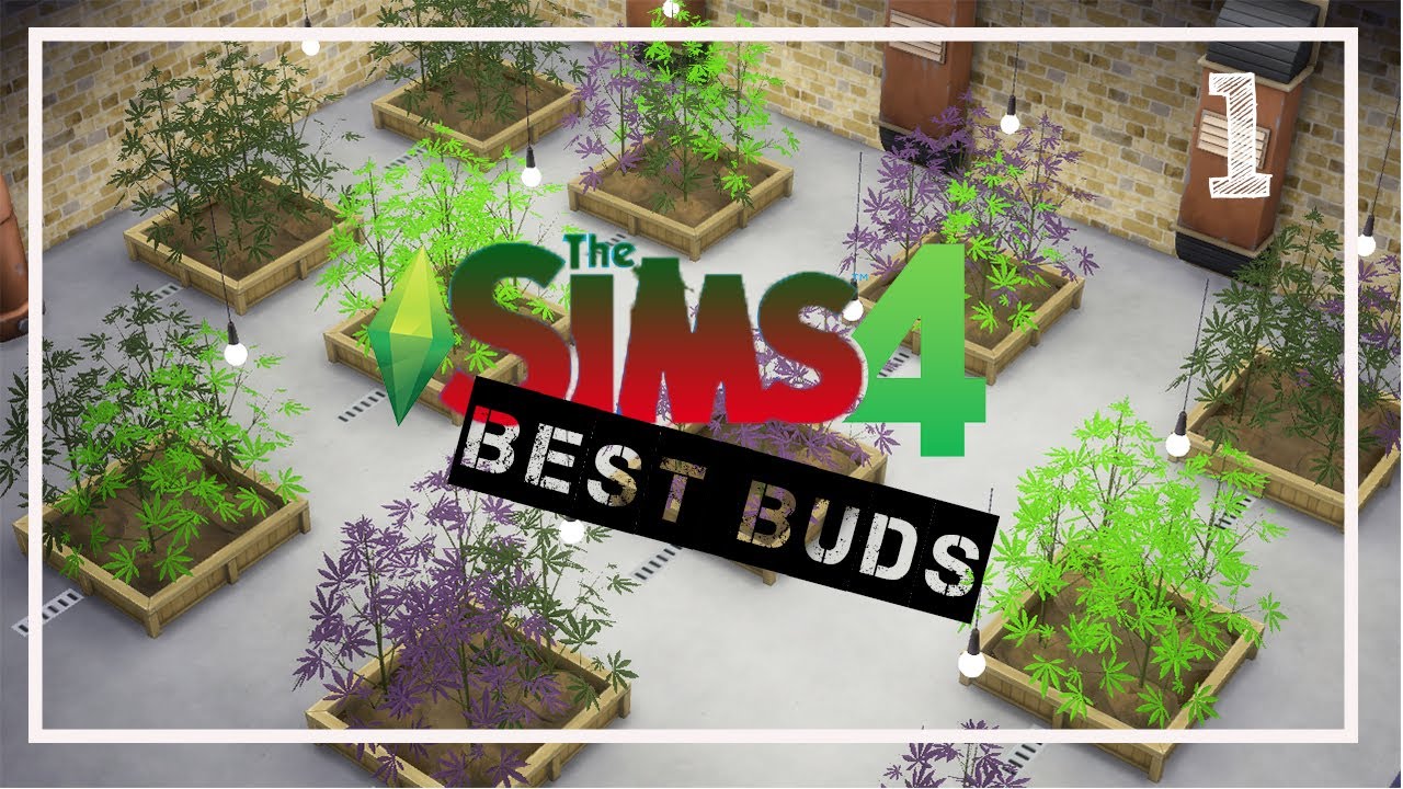 PUFF, PUFF, PASS | Let's Play The Sims 4 | BEST BUDS | #1 - YouTube