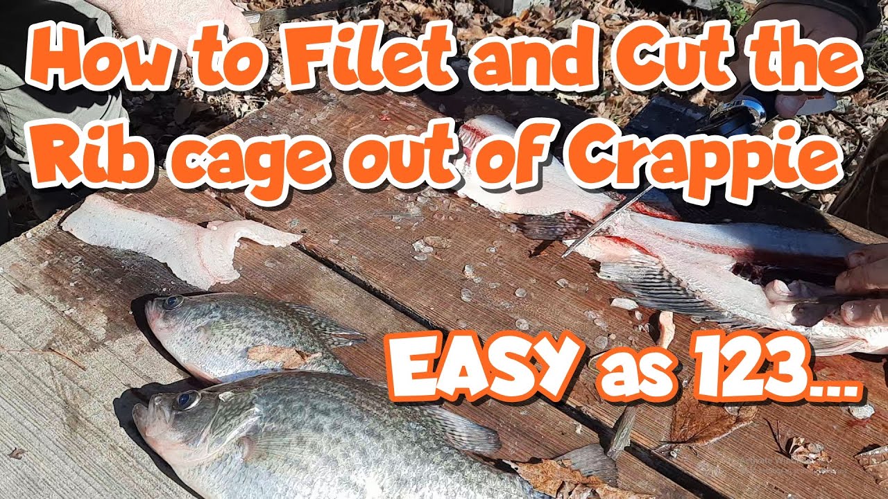 Crappie 101: How to filet and Cut the Rib Cage out of Crappie easy as ...