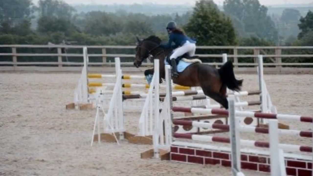 Champion's first BSJA [West Wilts EC] - YouTube