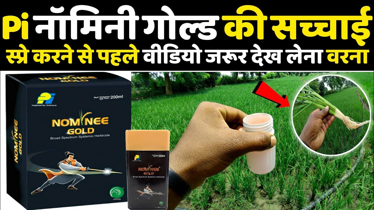 Pi Nominee Gold |herbicide nominee gold | Bispyribac Sodium 10% SC ...