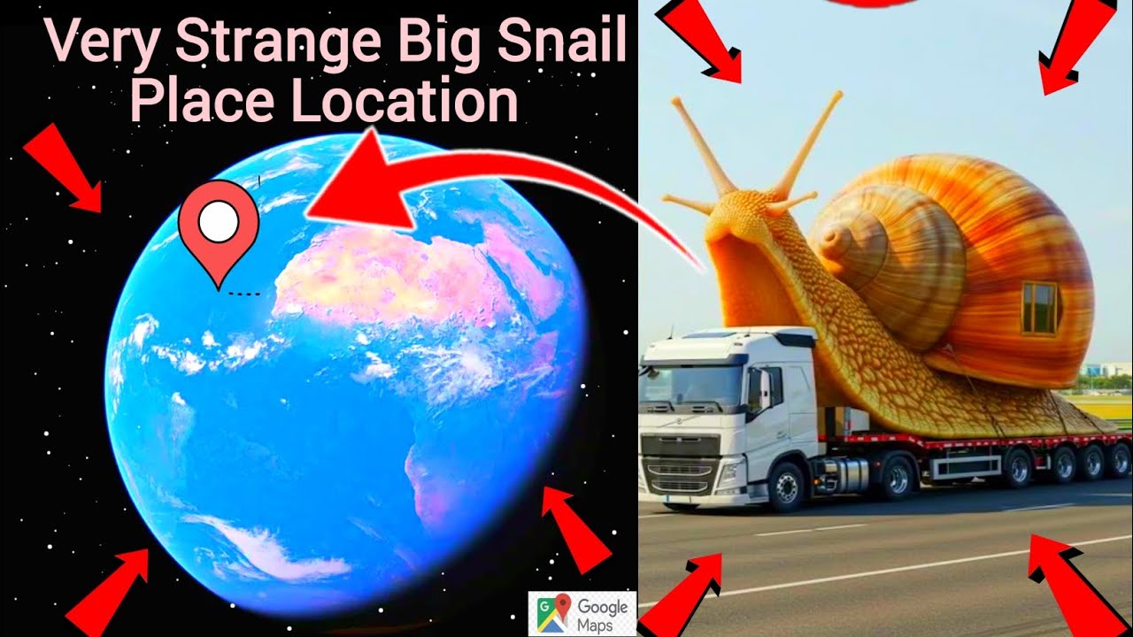 I Found Very Strange Big Snail 🐌 On Google Earth Google maps # ...