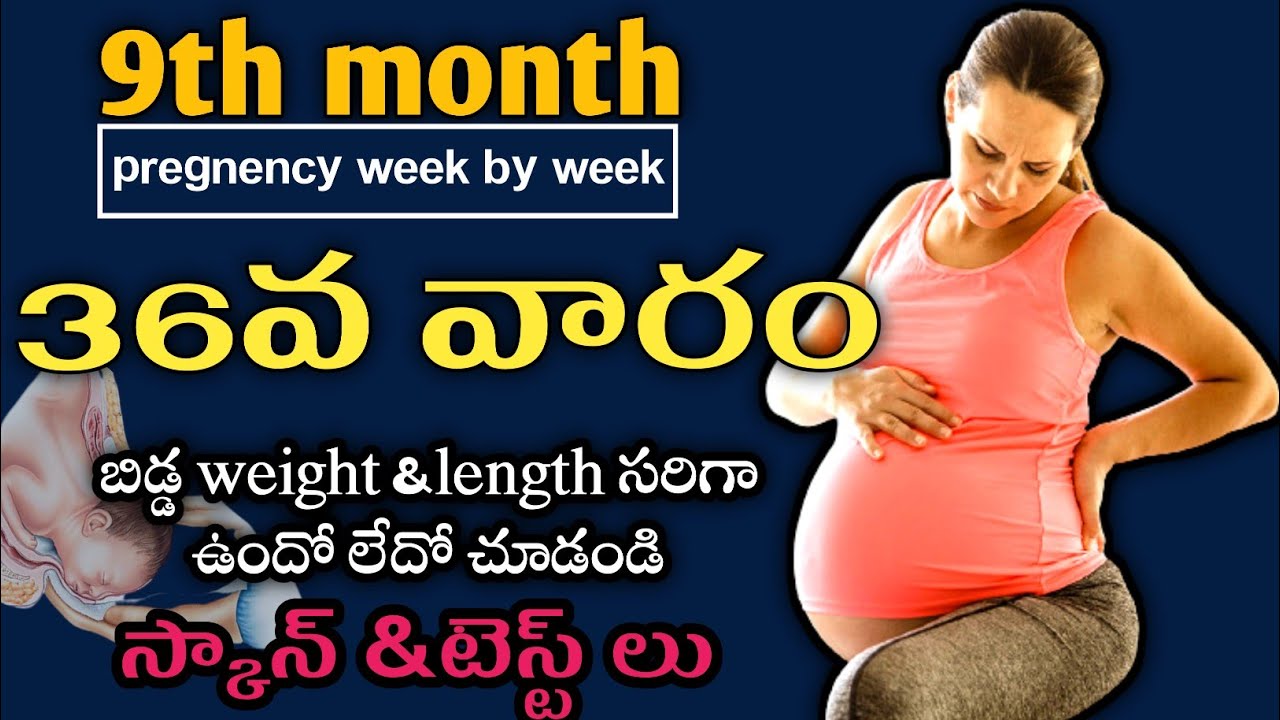 36 weeks of pregnancy what to expect | 36 weeks pregnant | pregnancy ...