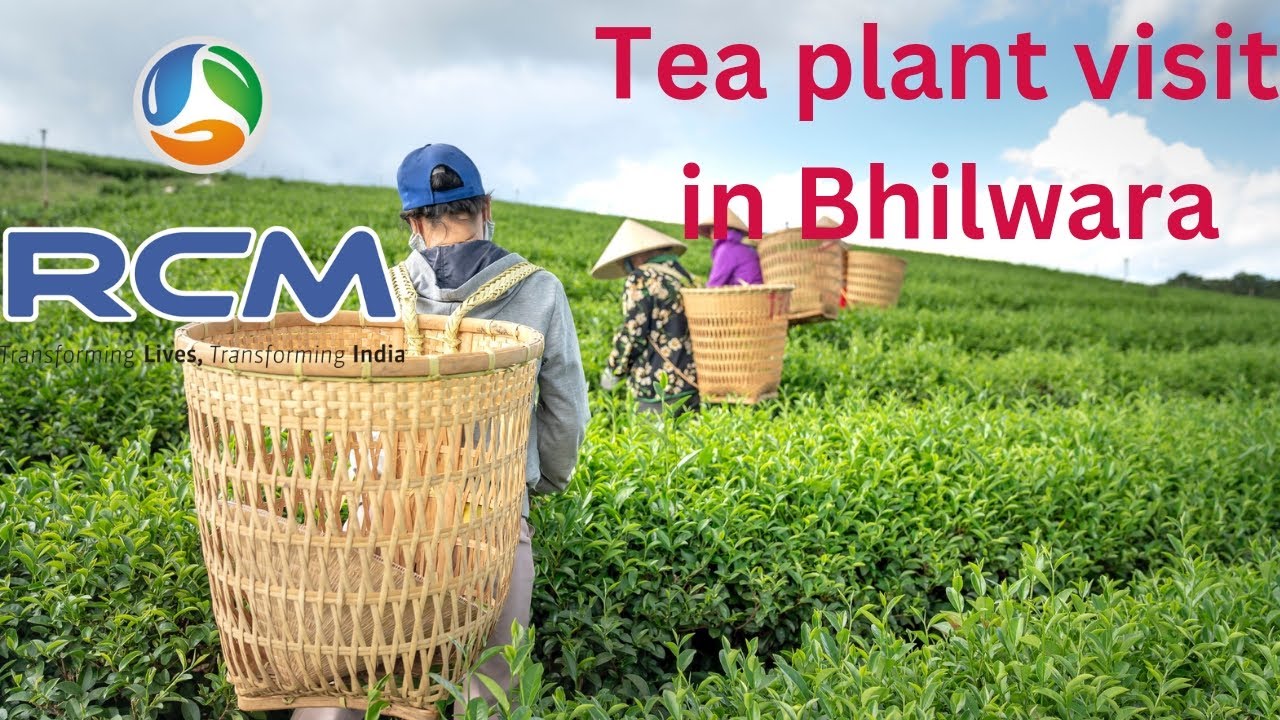 RCM TEA PLANT VISIT AT BHILWARA - YouTube