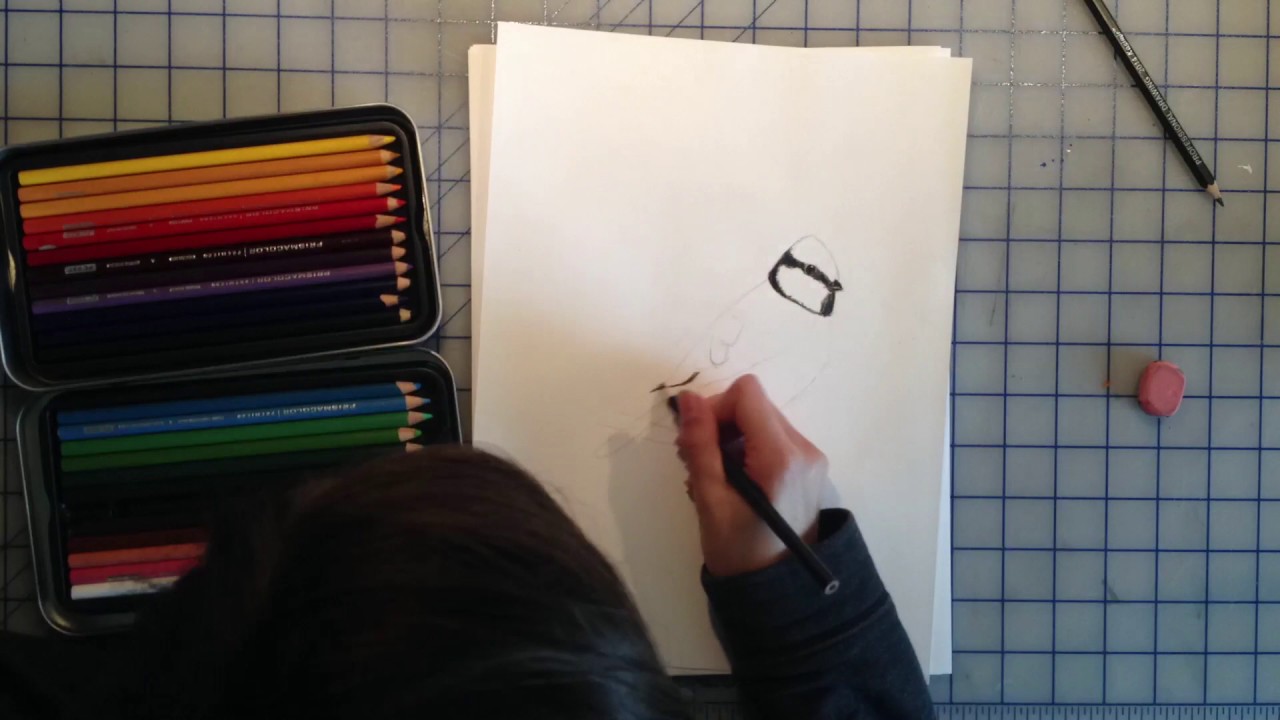 How To Draw A Blue Tit Bird - YouTube