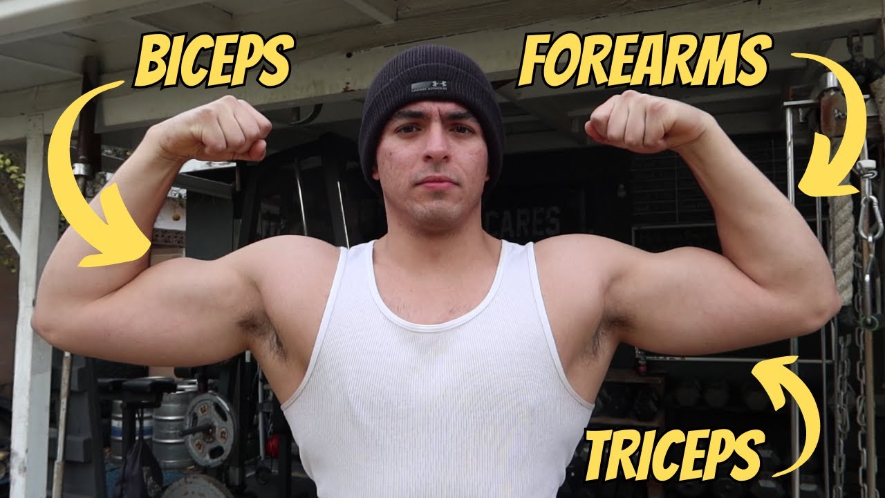 MY ARM WORKOUT FOR BIGGER BICEPS, TRICEPS, & FOREARMS #bodybuilding # ...