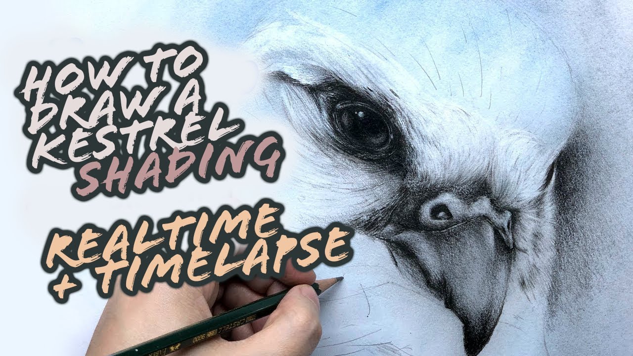 How To Draw A Portrait pt2 | Real Time & Timelapse Art Tutorial | Draw ...
