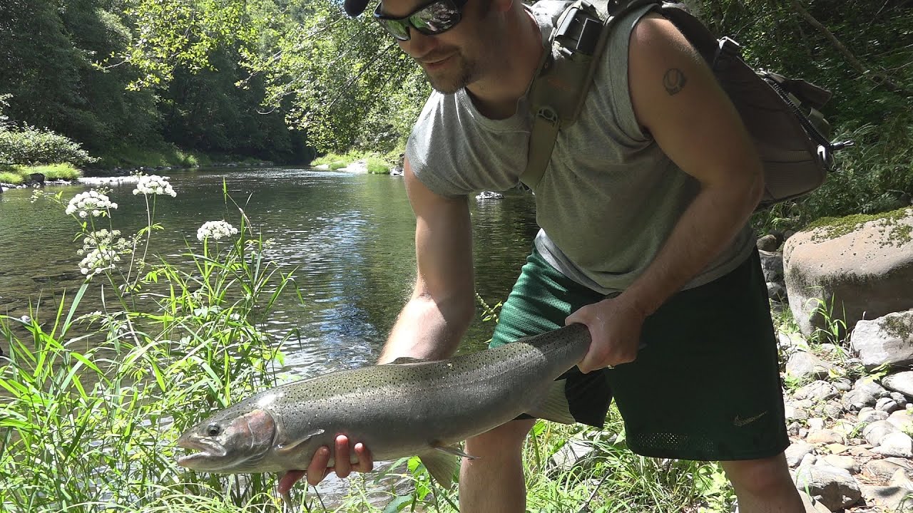 Clear Water Summer Steelhead - YouTube