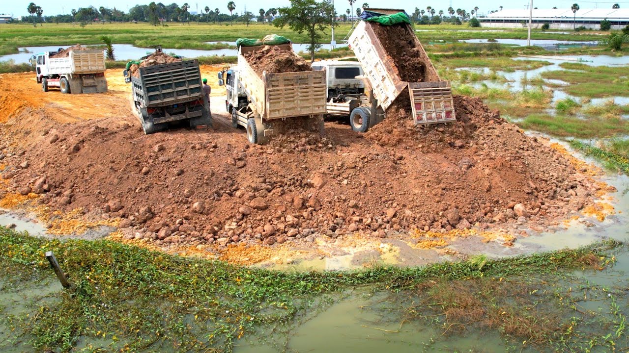 EP03. Dump truck 5T dumping Soil delete Flooded area with Technique ...