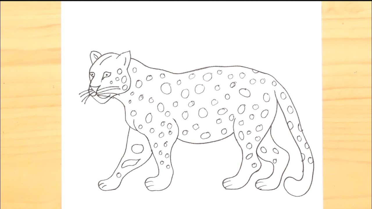 How to draw a leopard drawing step by step | Easy leopard sketch ...