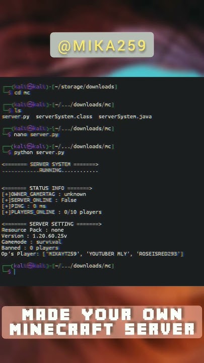 MAKE A PYTHON 🐍 MINECRAFT SERVER STATUS INFO DISPLAYER - YouTube