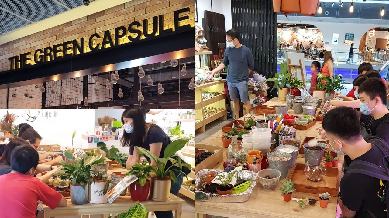 Trip to The Green Capsule (Funan) - Succulents and Terrarium - YouTube