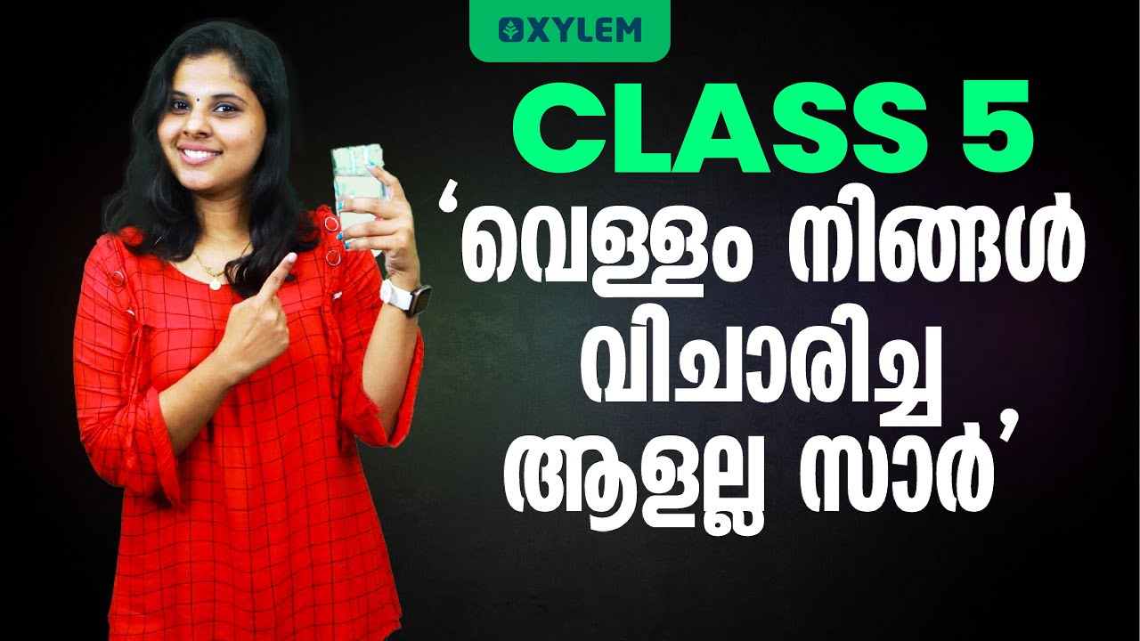 Properties of water | Xylem Class 5 - YouTube