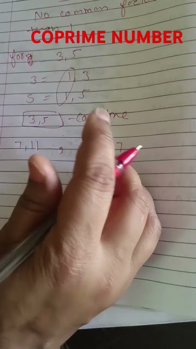 COPRIME NUMBER #studymotivation #12thmathobjectiveforboardexam2023 # ...