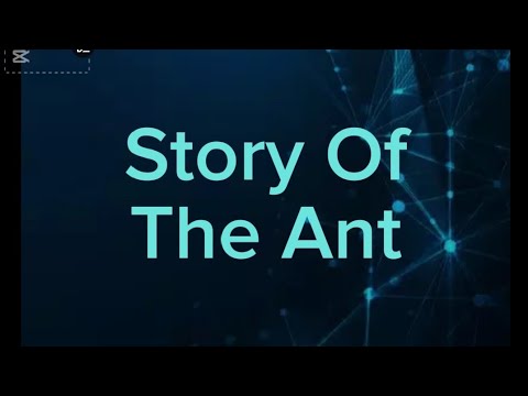 Story of The Ant 🐜🐜🐜 - YouTube