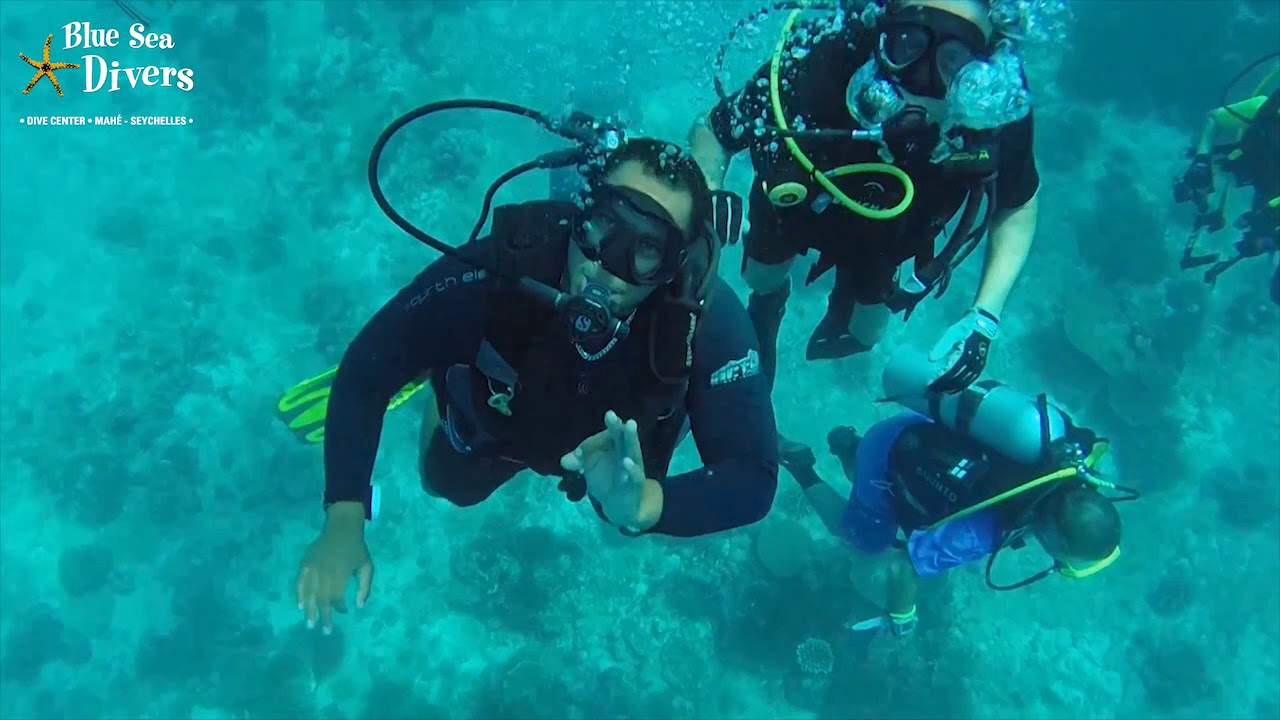 Blue Sea Divers - YouTube