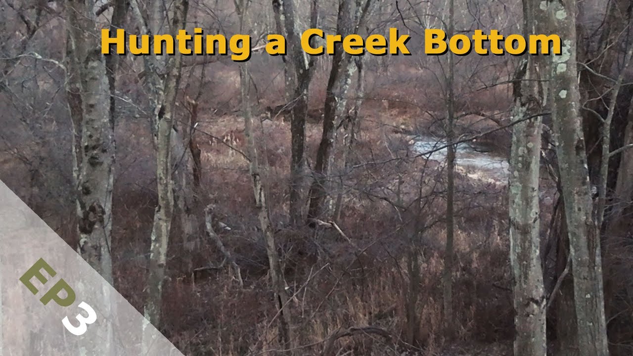 Hunting a Creek Bottom | Wild Bout Huntin - YouTube