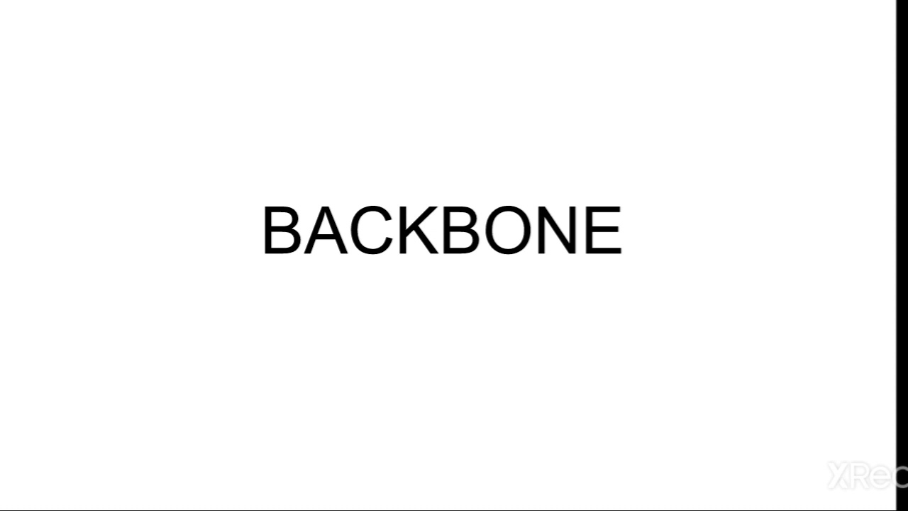 About Backbone - YouTube
