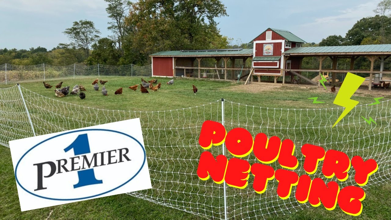 Premier 1 Poultry Netting Unbox and Setup - YouTube