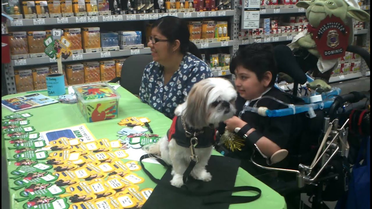 Dominic Cumo selling Shamrocks for MDA - YouTube