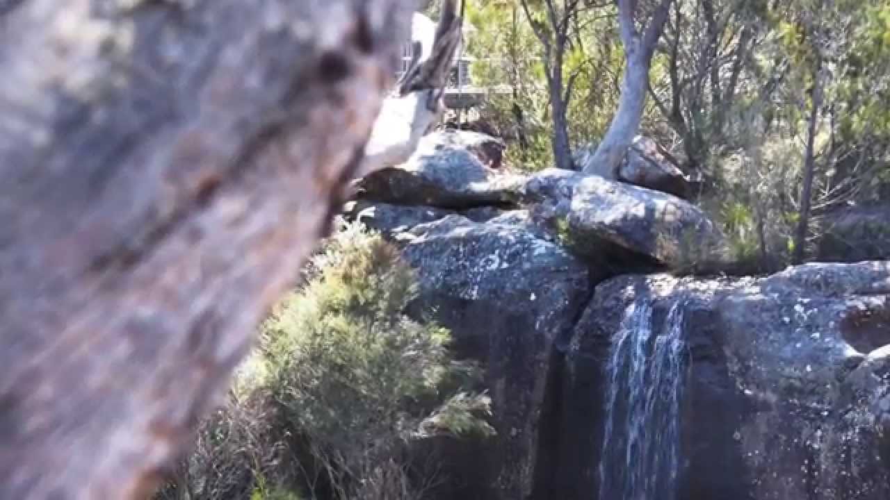 Darkes Forest - Nature Escape - YouTube