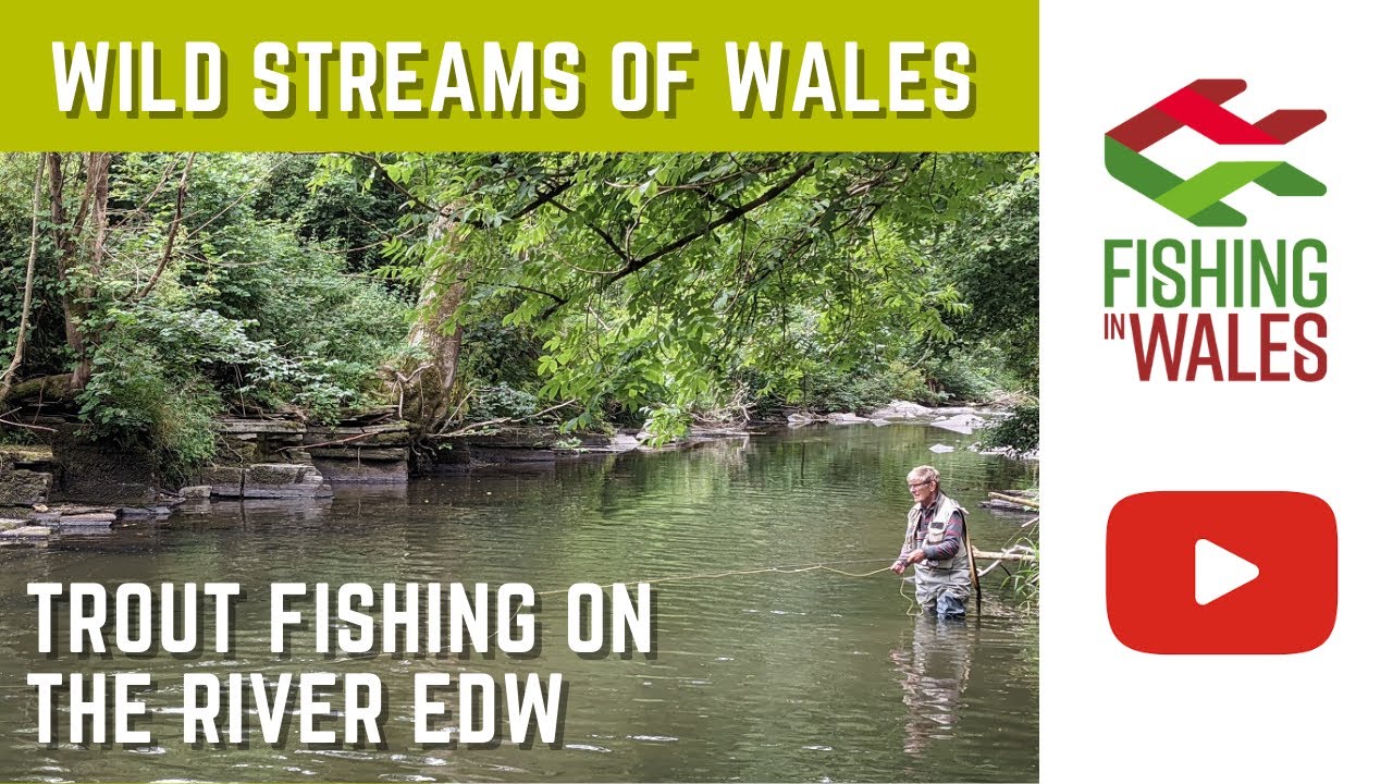 Wild Streams Of Wales - Trout Fishing On The River Edw - YouTube